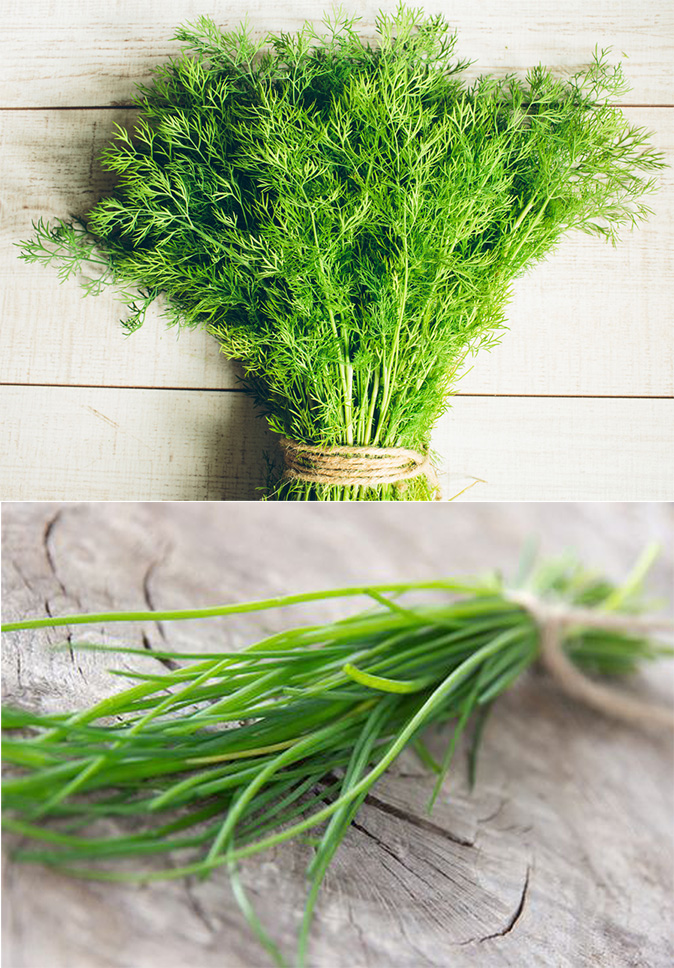 COMINCIAMO CON ANETO ed ERBA CIPOLLINA